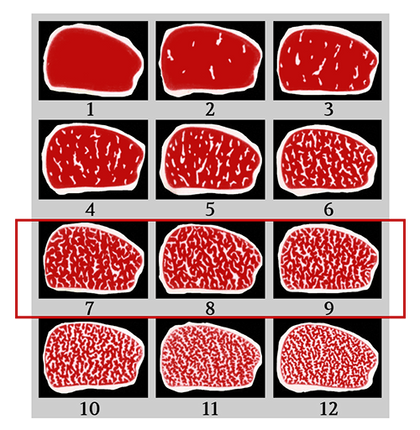 Wagyu Difference – Wodagyu
